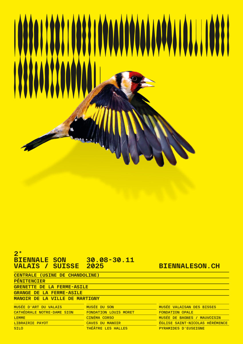 ERRATUM MUSICAL - Biennale son - Le Manoir de la Ville de Martigny