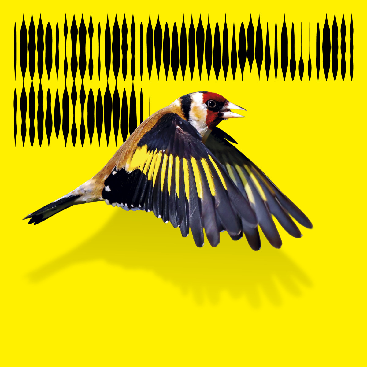 LA POÉSIE S’HONORE - ERRATUM MUSICAL - Le Manoir de la Ville de Martigny